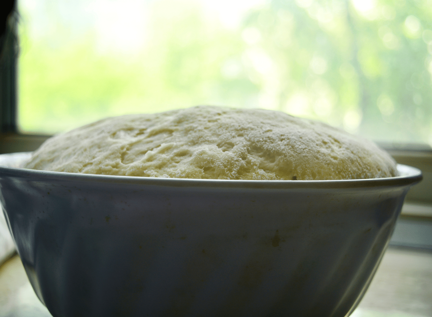 Overproofed Pizza Dough? You can Fix it Easily!