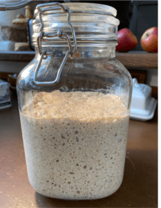 What is Poolish? Pizza Poolish Explained with Easy Recipe